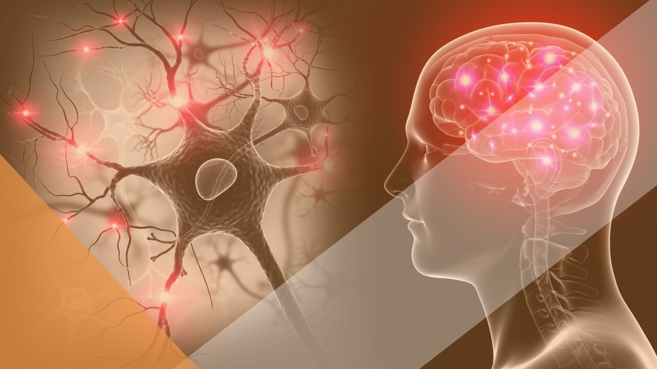 Life Without "In Order To" - Transformational Conversations with Coach ...