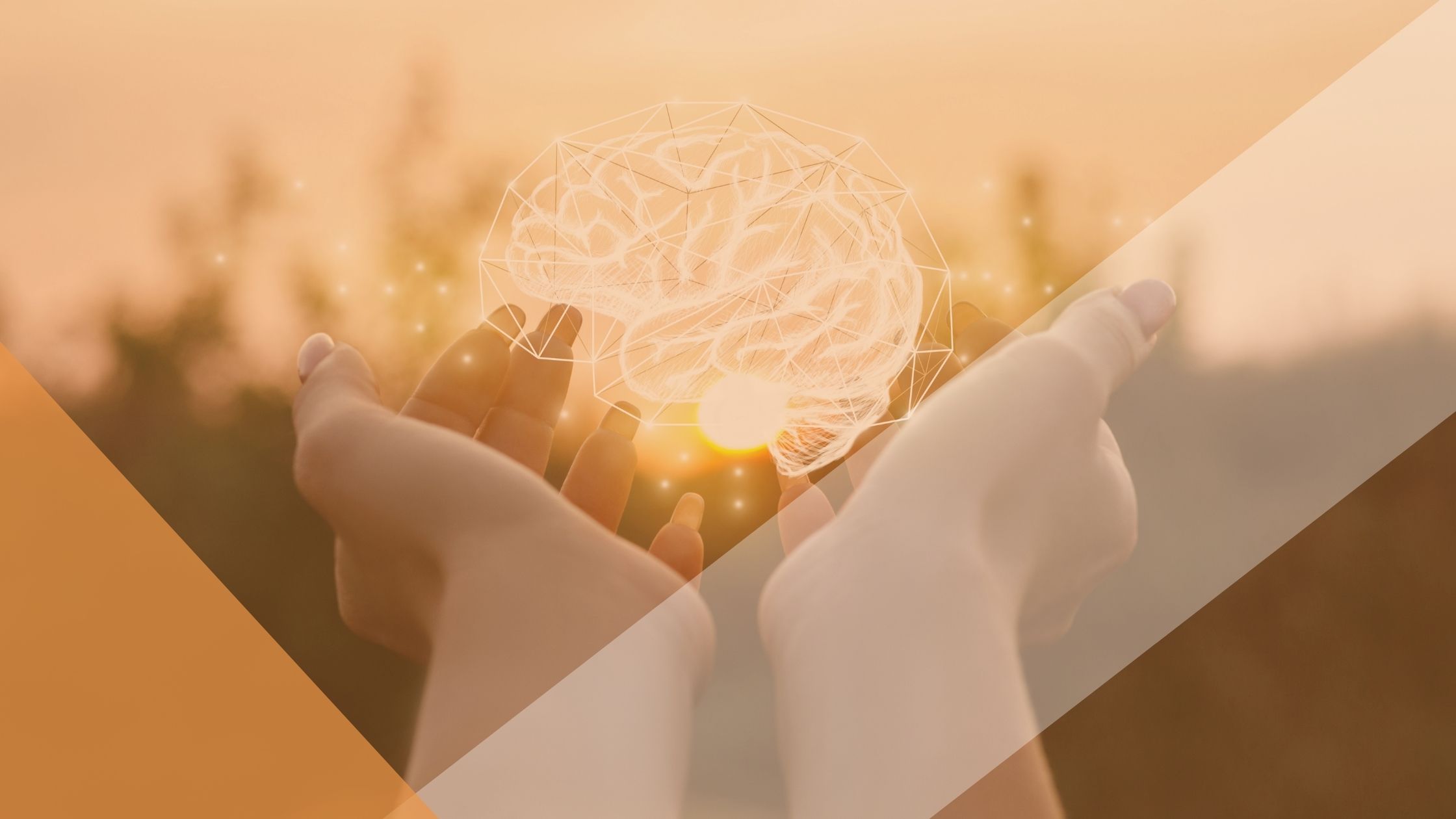 Becoming "Life-Proof" - Transformational Conversations with Coach Lisa ...